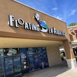 FLOATING SEA AQUATICS - Updated August 2025 - 269 Photos & 57 Reviews ...