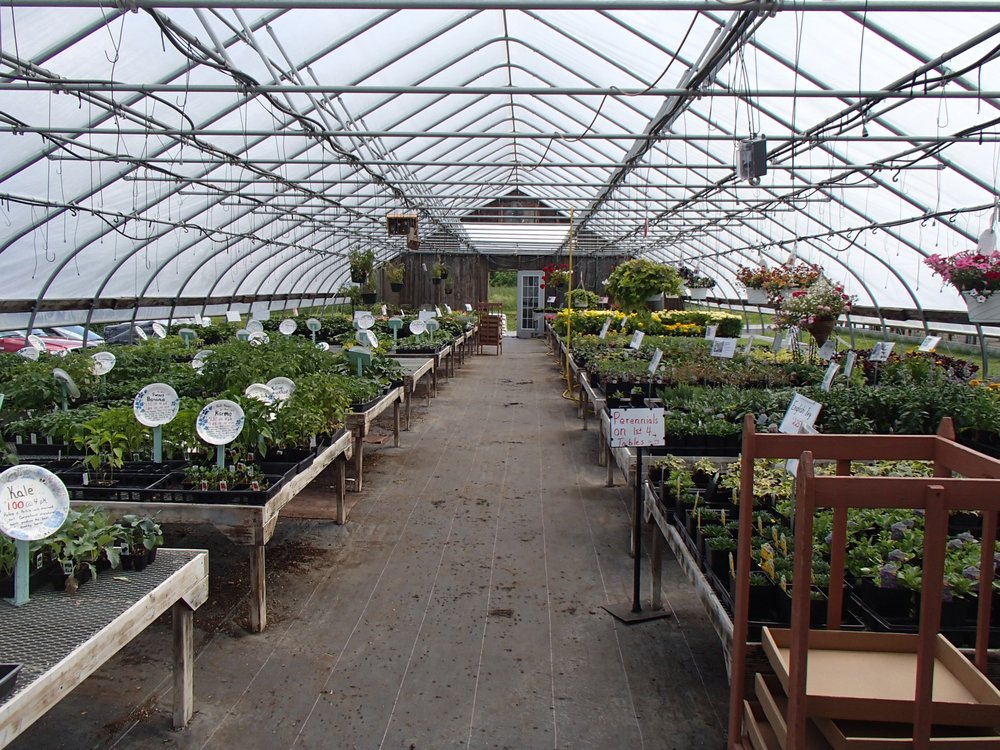 COUNTRYSIDE MARKET - Updated January 2026 - 3215 Munson Rd, Interlaken ...