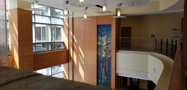 SSM HEALTH ST. MARY’S HOSPITAL - MADISON - Updated August 2025 - 36 ...