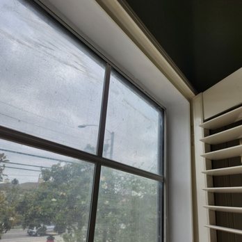 POW! BUG SQUAD - Updated January 2026 - 96 Photos & 108 Real Reviews ...