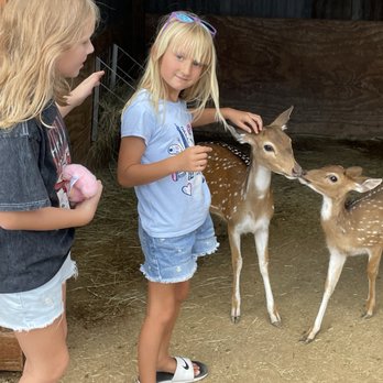 ANIMAL WORLD & SNAKE FARM - Updated May 2026 - 818 Photos & 324 Reviews ...