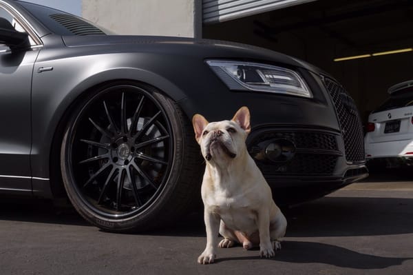 BODEN AUTOHAUS - Updated January 2026 - 116 Photos & 79 Verified ...