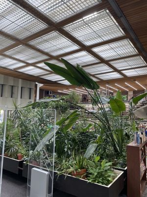 DOWNTOWN RENO LIBRARY - Updated December 2025 - 86 Photos & 39 Reviews ...