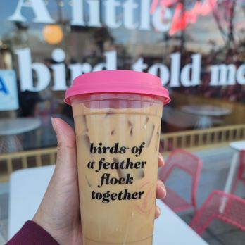 PARAKEET CAFÉ - Updated January 2025 - 865 Photos & 461 Reviews - 3745 ...