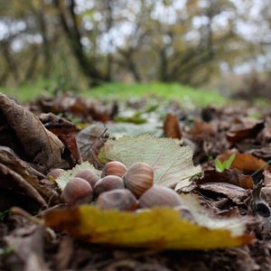 EUGENE ROSENMAN, MD - Updated October 2025 - 77 Reviews - 2775 S Jones ...