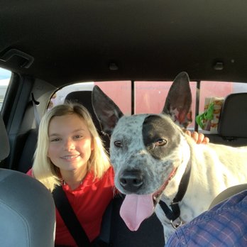 HUMANE SOCIETY OF SOUTHERN ARIZONA - Updated December 2025 - 56 Photos ...