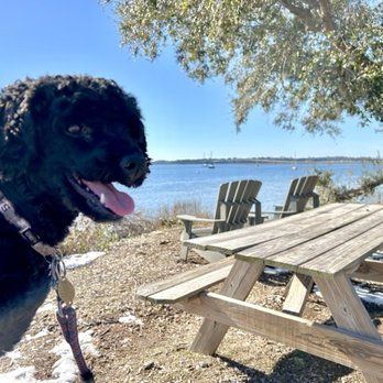 SHELLRING ALE WORKS - Updated December 2025 - 78 Photos & 41 Reviews ...