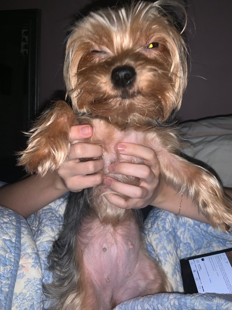 EAST COBB BARBERSHOP - 14 Photos & 17 Reviews - Barbers - 1401 Johnson ...