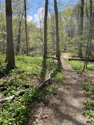 WARREN WOODS STATE PARK - Updated December 2025 - 40 Photos - Elm ...