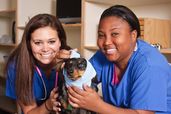 BEL-REA INSTITUTE OF ANIMAL TECHNOLOGY - Updated November 2025 - 80 Photos & 39 Reviews - 1681 S ...