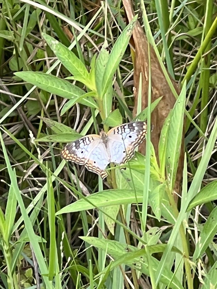 AL COITH PARK - Updated August 2025 - 38 Photos - 901 Delaney Ave ...