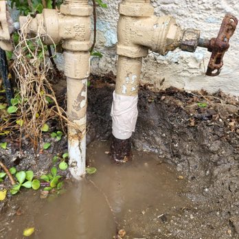 WESTERN ROOTER - 905 Photos & 1218 Reviews - 136 E Santa Clara St ...