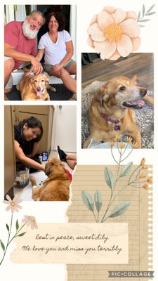 RIDGE LAKE ANIMAL HOSPITAL - Updated December 2025 - 45 Photos & 63 ...