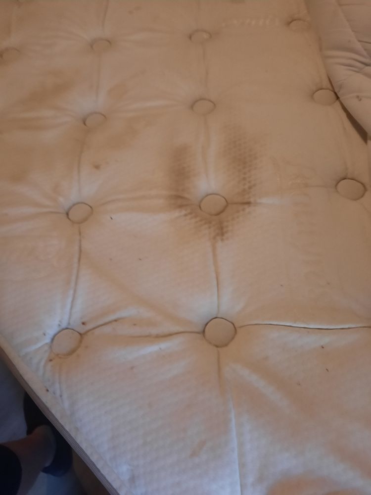 DRAKE MOTEL - Updated December 2025 - 3200 E National Rd, Springfield ...