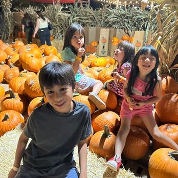 VERTUCCIO FARMS - Updated October 2025 - 332 Photos & 160 Reviews ...