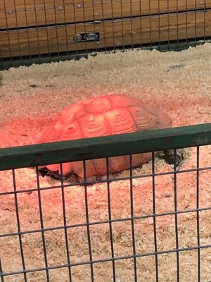 KIDS FUN FAIR & ZOO - Updated October 2025 - 27 Photos - 99 Fordham Rd ...