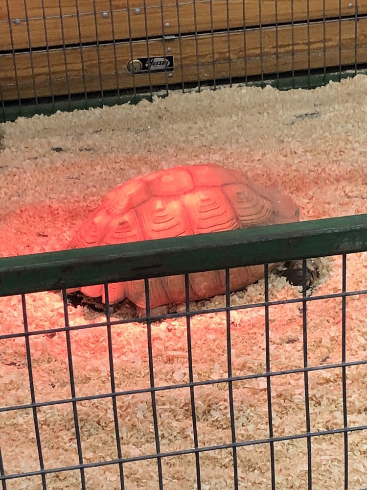 KIDS FUN FAIR & ZOO - Updated October 2025 - 27 Photos - 99 Fordham Rd ...