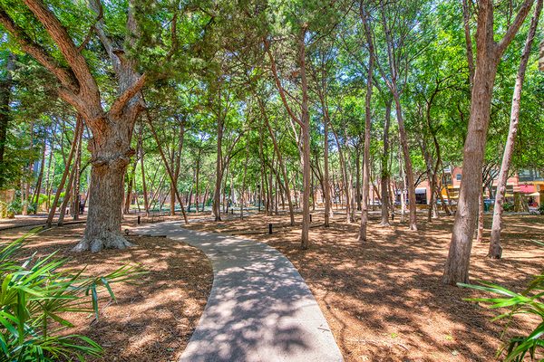 MAA ADDISON CIRCLE - Updated September 2025 - 40 Photos & 120 Reviews ...