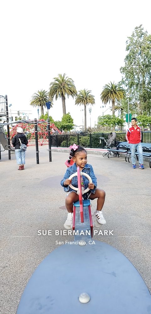 SUE BIERMAN PARK PLAYGROUND - 35 Photos & 30 Reviews - 253 Washington ...