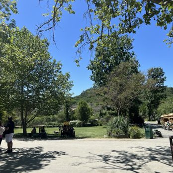 SAFARI WEST - Updated February 2025 - 3365 Photos & 1076 Reviews - 3115 ...