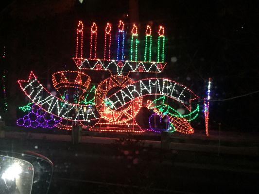 BRIGHT NIGHTS AT FOREST PARK - 107 Photos & 49 Reviews - 300 Sumner Ave ...