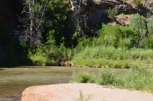 NEW WAVE RAFTING - Updated July 2025 - 62 Photos & 49 Reviews - 2110 ...