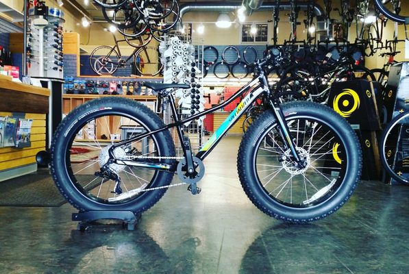 LANDRY’S BICYCLES - Updated October 2025 - 19 Photos & 45 Reviews ...