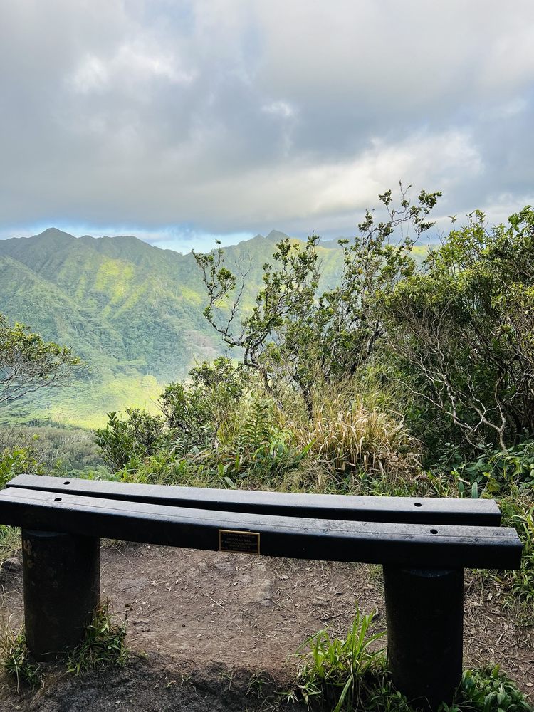 MAKIKI-MANOA CLIFFS HIKE - Updated December 2025 - 189 Photos & 38 ...