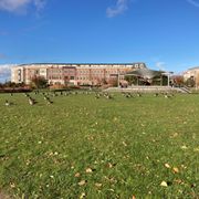 PIERSON PARK - 44 Photos & 11 Reviews - Parks - 238 W Main St ...