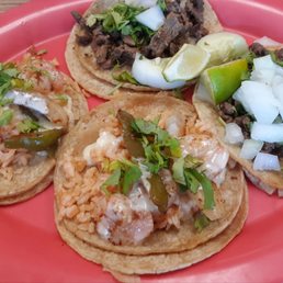 INDY TACOS - 307 Photos & 290 Reviews - 2196 E 54th St, Indianapolis ...