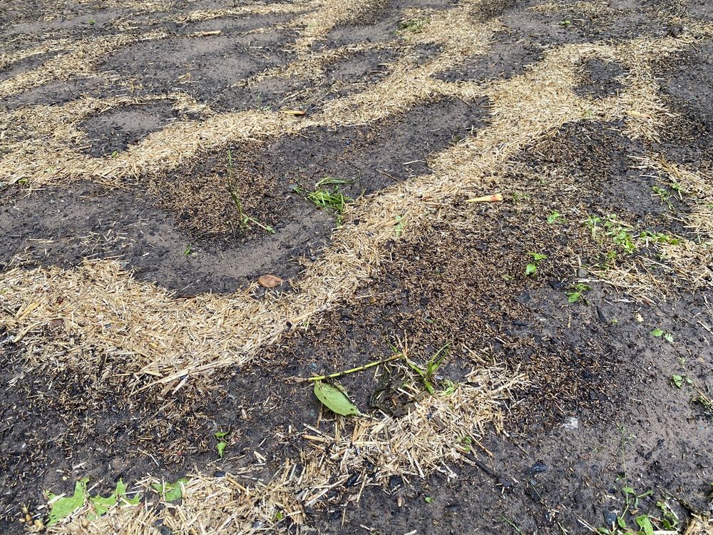 TM LANDSCAPING - Updated July 2025 - 33 Bennett Ave, Randolph, New ...