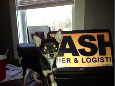 DASH COURIER & LOGISTICS - Updated October 2025 - 2436 South Miami Blvd ...