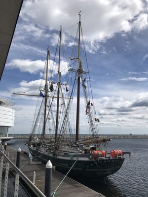 DISCOVERY WORLD - 246 Photos & 92 Reviews - Children's Museums - 500 N ...