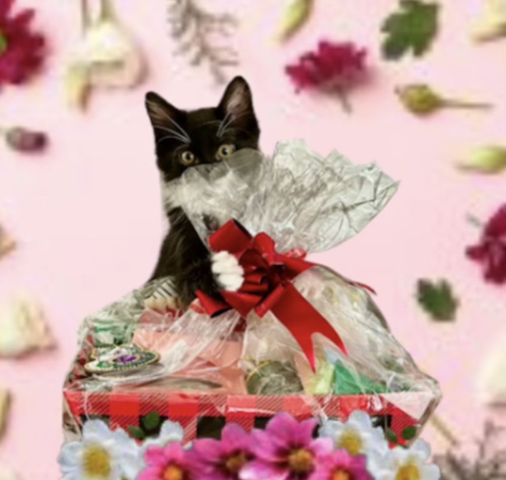 BLESSING BLANKETS MADE WITH LOVE - Updated December 2025 - Request ...