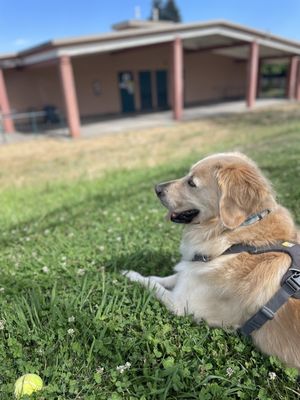 MIRAMONTE HIGH SCHOOL - Updated December 2025 - 15 Photos & 14 Reviews ...