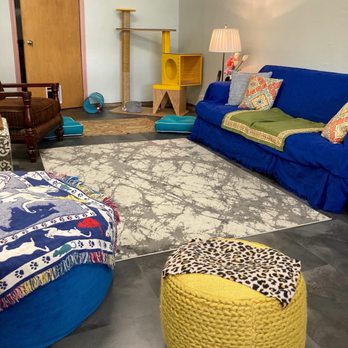 THE RADICAL CAT - Updated December 2025 - 52 Photos & 25 Reviews - 1500 ...