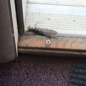 CEDAR RUN INN - Updated July 2024 - 14 Photos & 12 Reviews - 281 ...