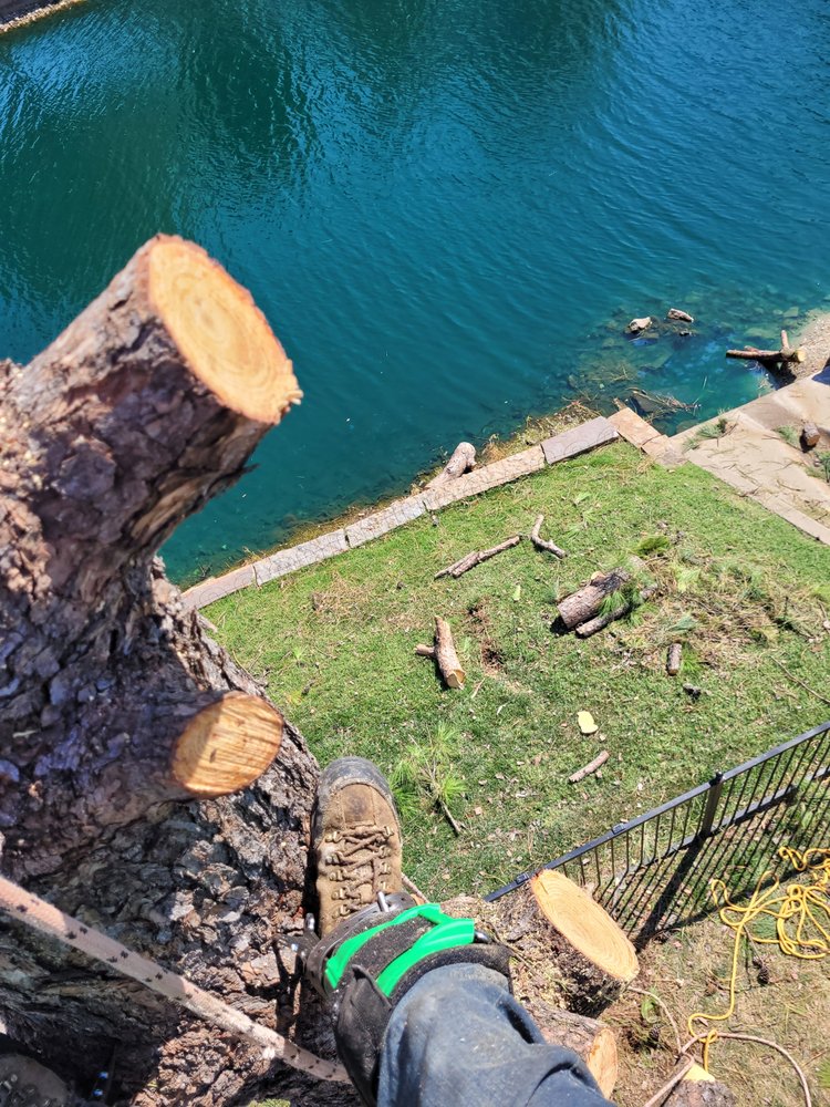 ONE TWO TREES - Request a Quote - Mustang, Oklahoma - Tree Services ...