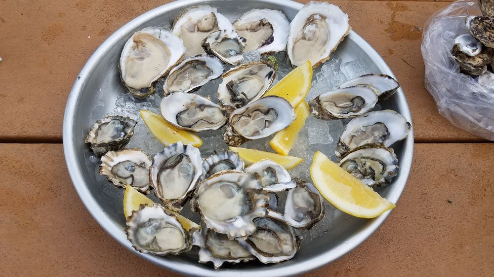 TAYLOR SHELLFISH FARMS - 80 Photos & 47 Reviews - 130 SE Lynch Rd ...