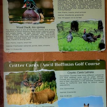 ANCIL HOFFMAN GOLF COURSE - Updated December 2025 - 83 Photos & 81 ...