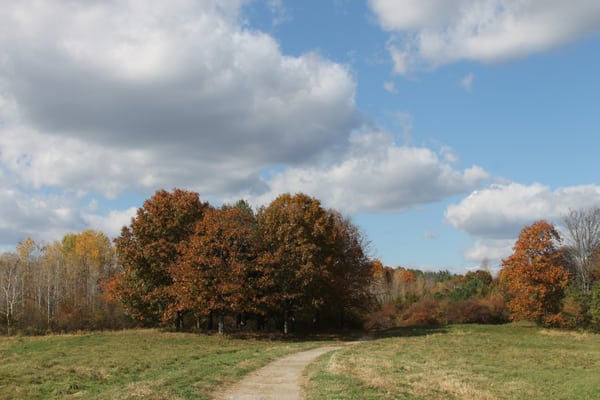 CALLAHAN STATE PARK - Updated May 2024 - 54 Photos & 44 Reviews ...