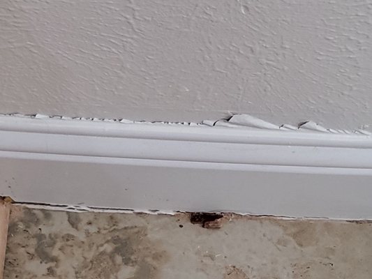 BMS CAT - Updated December 2025 - 21 Photos & 38 Reviews - 315 N Great ...