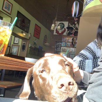 DOUGHERTY’S NEIGHBORHOOD PUB - Updated December 2025 - 30 Photos & 174 ...