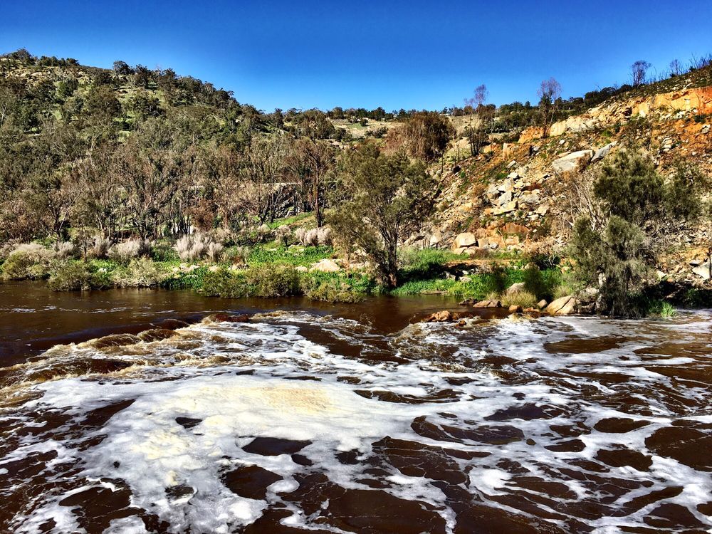 BELLS RAPIDS PARK - Updated October 2025 - 21 Photos - Cathedral Ave ...