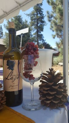 CHRISTIAN LAZO WINES - Updated January 2026 - 14 Reviews - 7235 Non ...