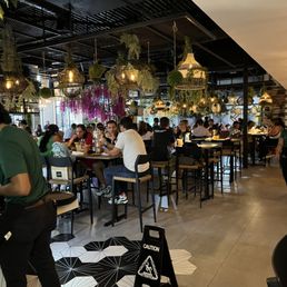 VIDA COCINA & TEQUILA - Updated July 2025 - 1403 Photos & 412 Reviews ...