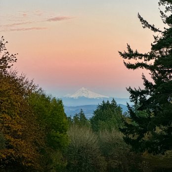 COUNCIL CREST PARK - Updated December 2025 - 311 Photos & 95 Reviews ...