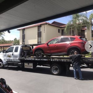 FIRST LEE TAG AGENCY - Updated May 2025 - 18990 S Tamiami Trl, Fort ...