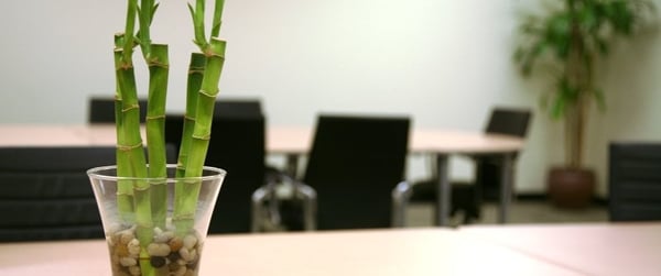 THINKSPACE - Updated October 2025 - 18 Photos - 8201 164th Ave NE ...