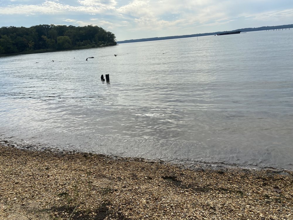 MALLOWS BAY PARK - Updated July 2025 - 79 Photos & 11 Reviews - 1440 ...